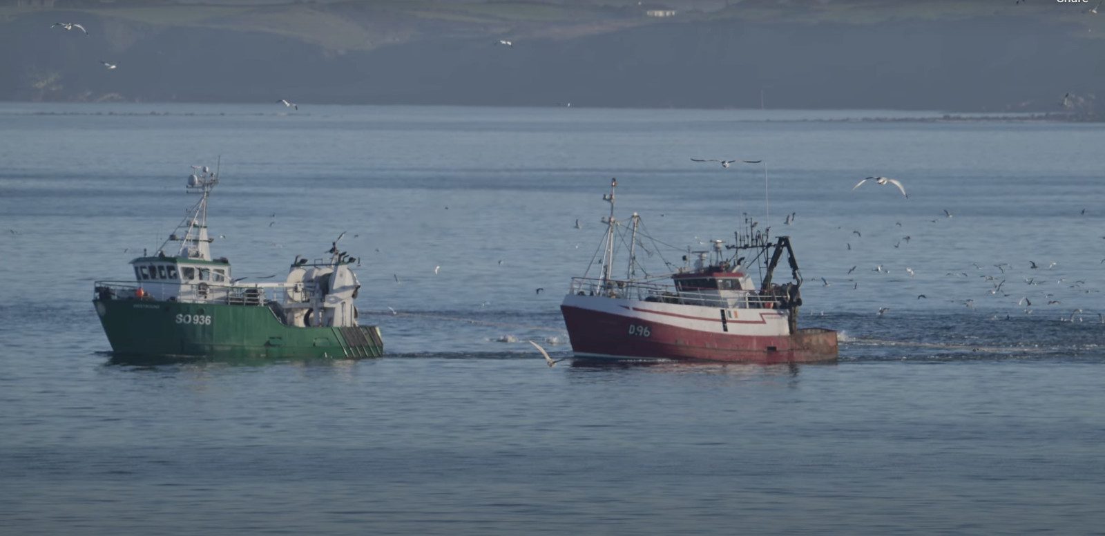 Pair trawlers fishing for sprat - Transform Bottom Trawling